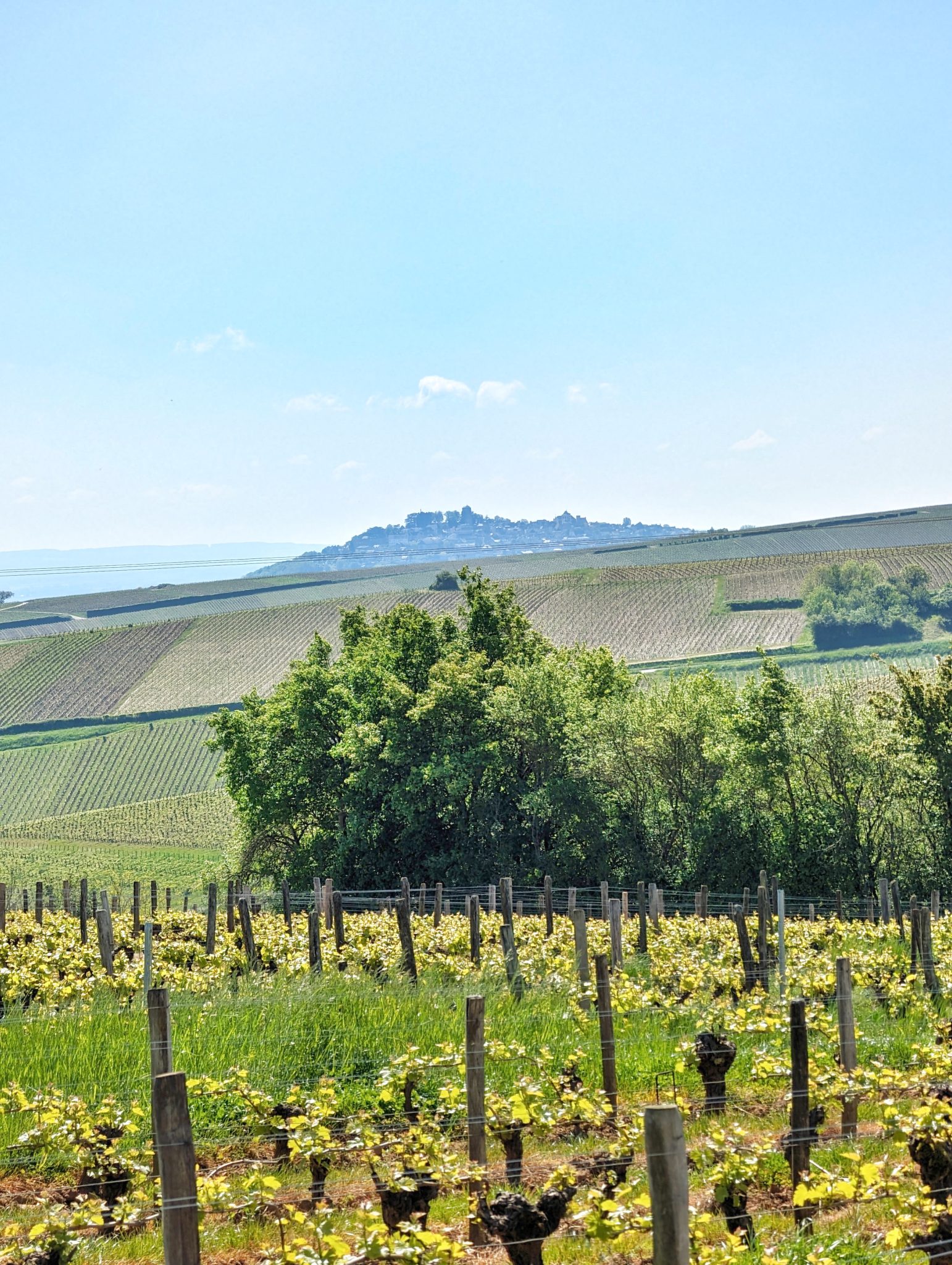 Visiter Sancerre, les incontournables - Promenade in France